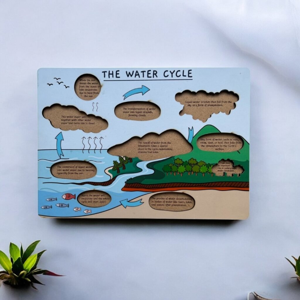 The Water Cycle - winkslab