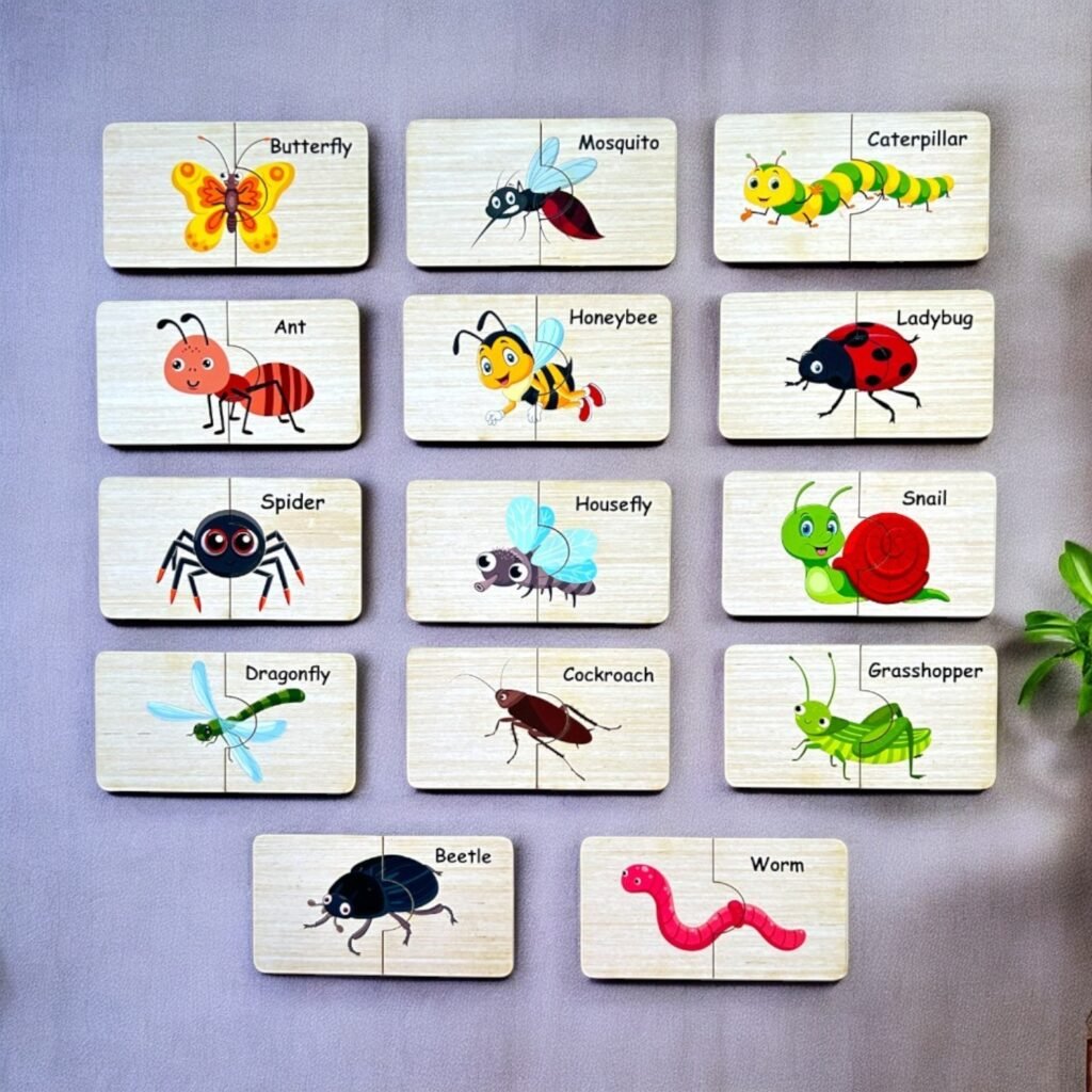 Insect, Dinosaur, Transport Combo Kit - winkslab