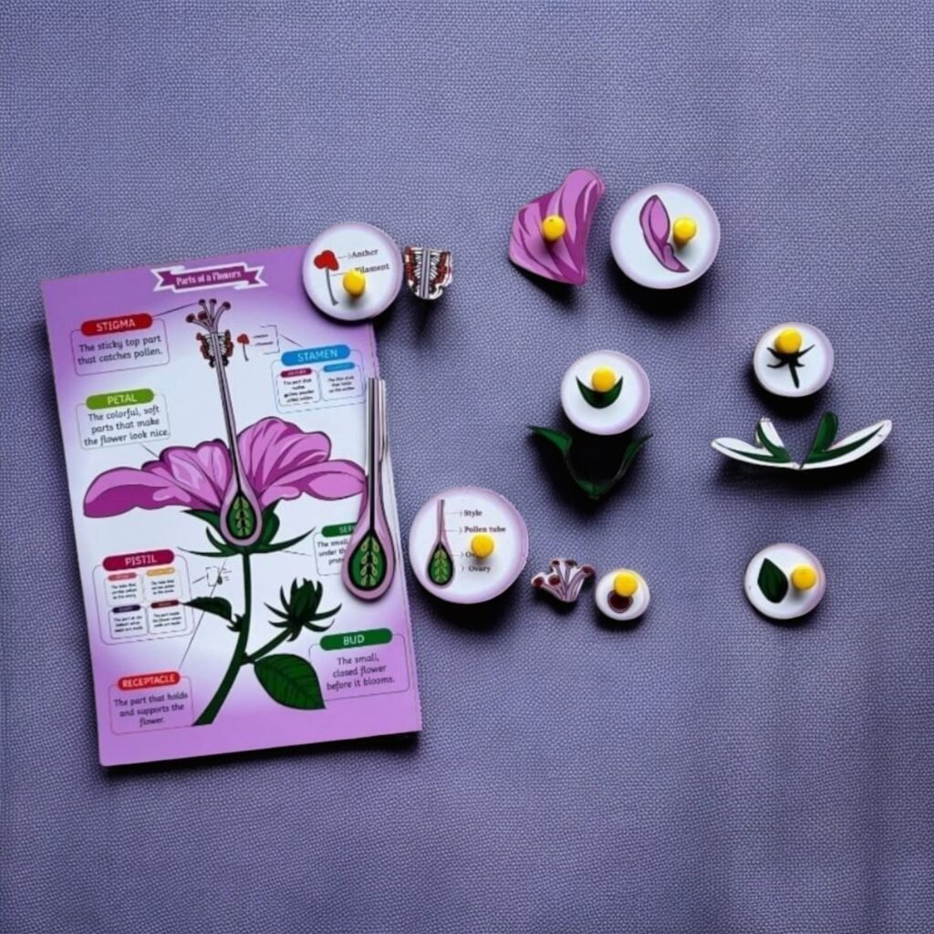 Parts of a Flower & Leaf Combo Kit - winkslab.in