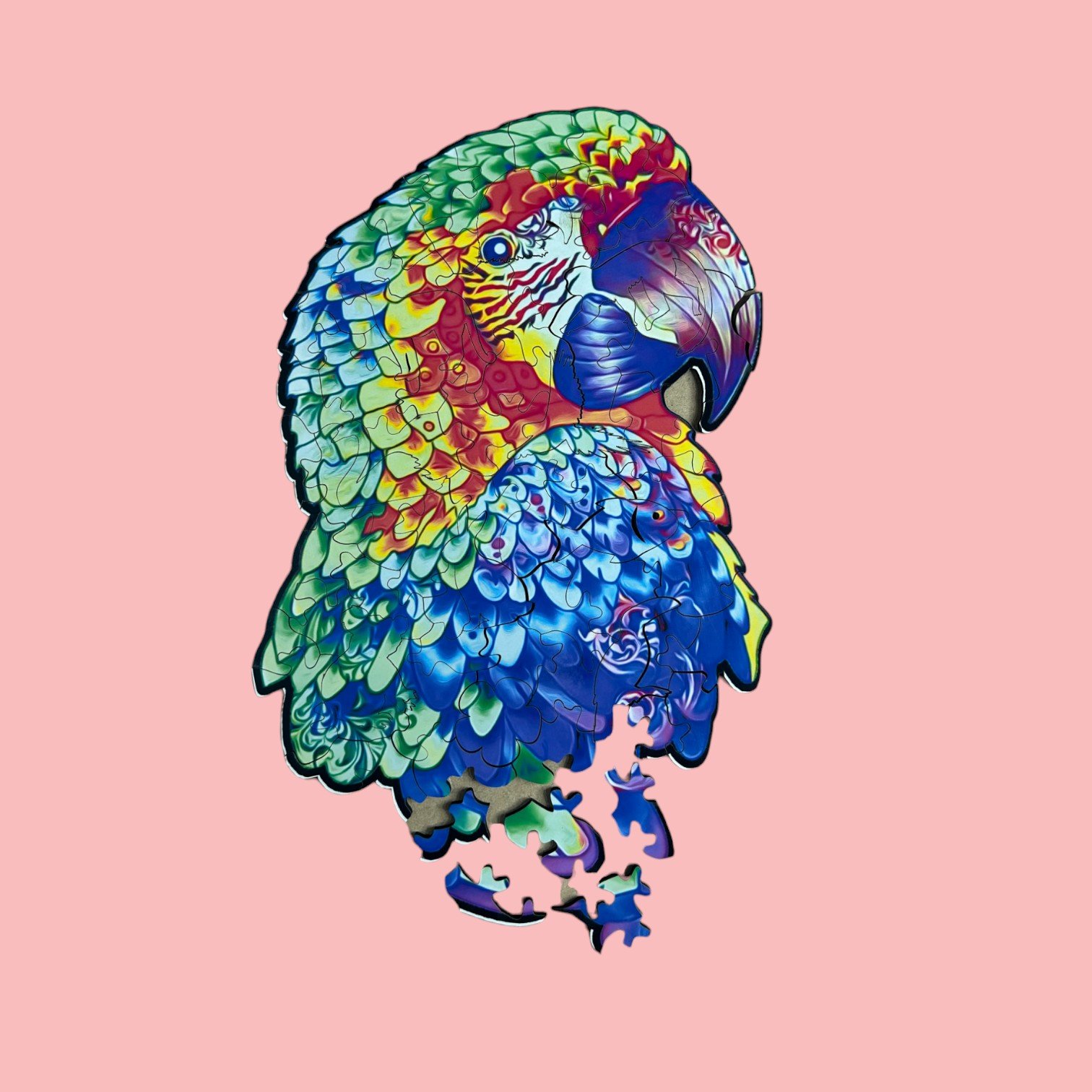 Family Jigsaw Puzzles – Parrot - winkslab.in