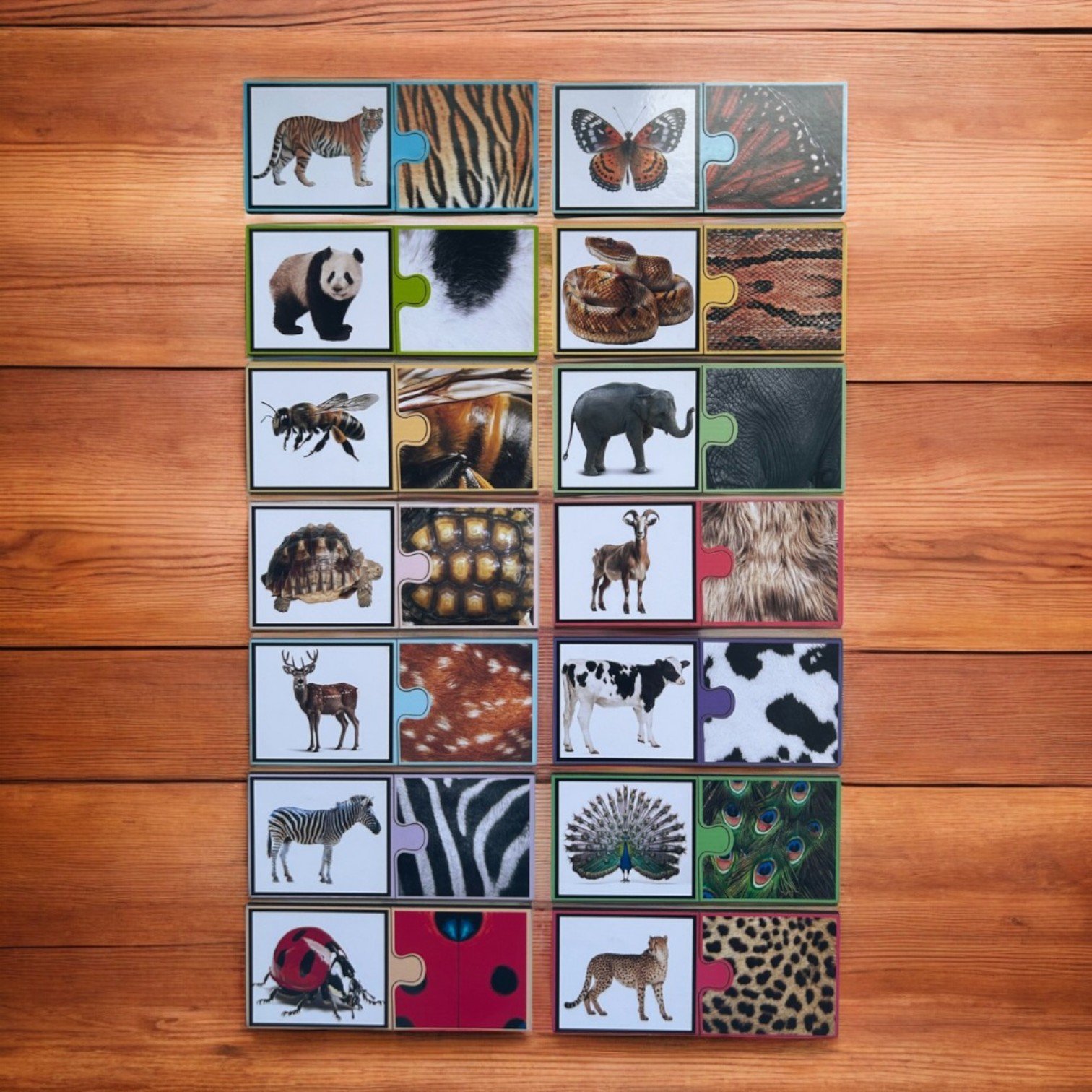 Animal Puzzle Combo Kit - winkslab